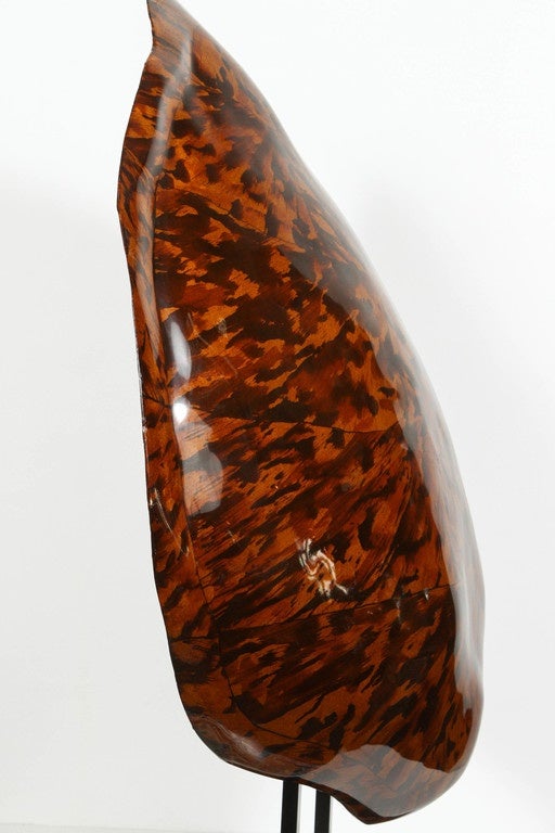 Large Faux Turtle Shell Mounted on Stand at 1stDibs