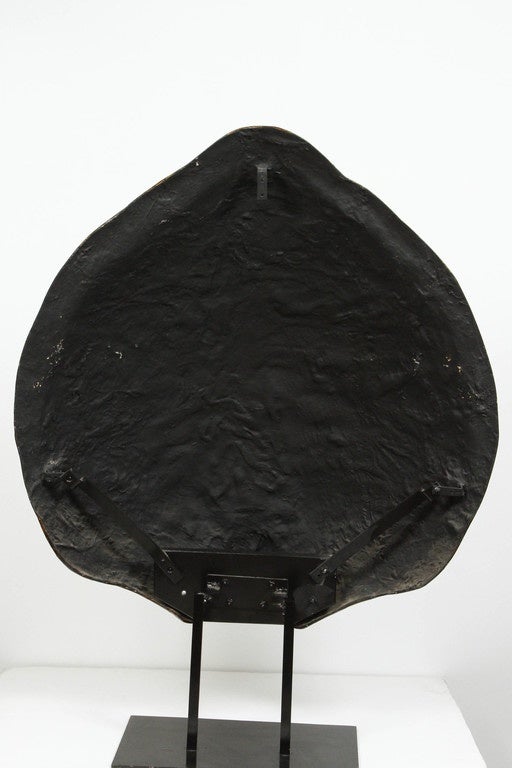 Large Faux Turtle Shell Mounted on Stand at 1stDibs