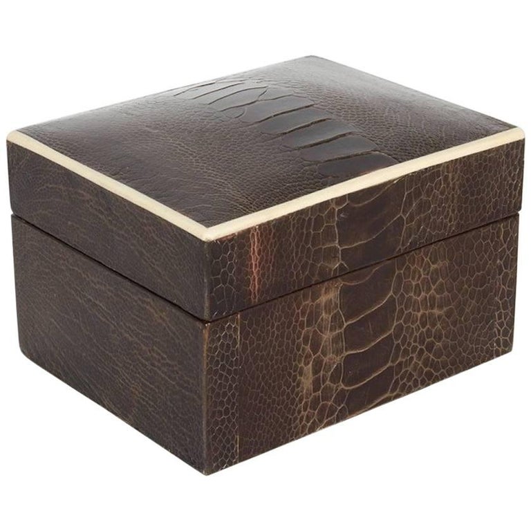 Exotic Ostrich Brown Leather Decorative Box with Bone Inlay For Sale at ...