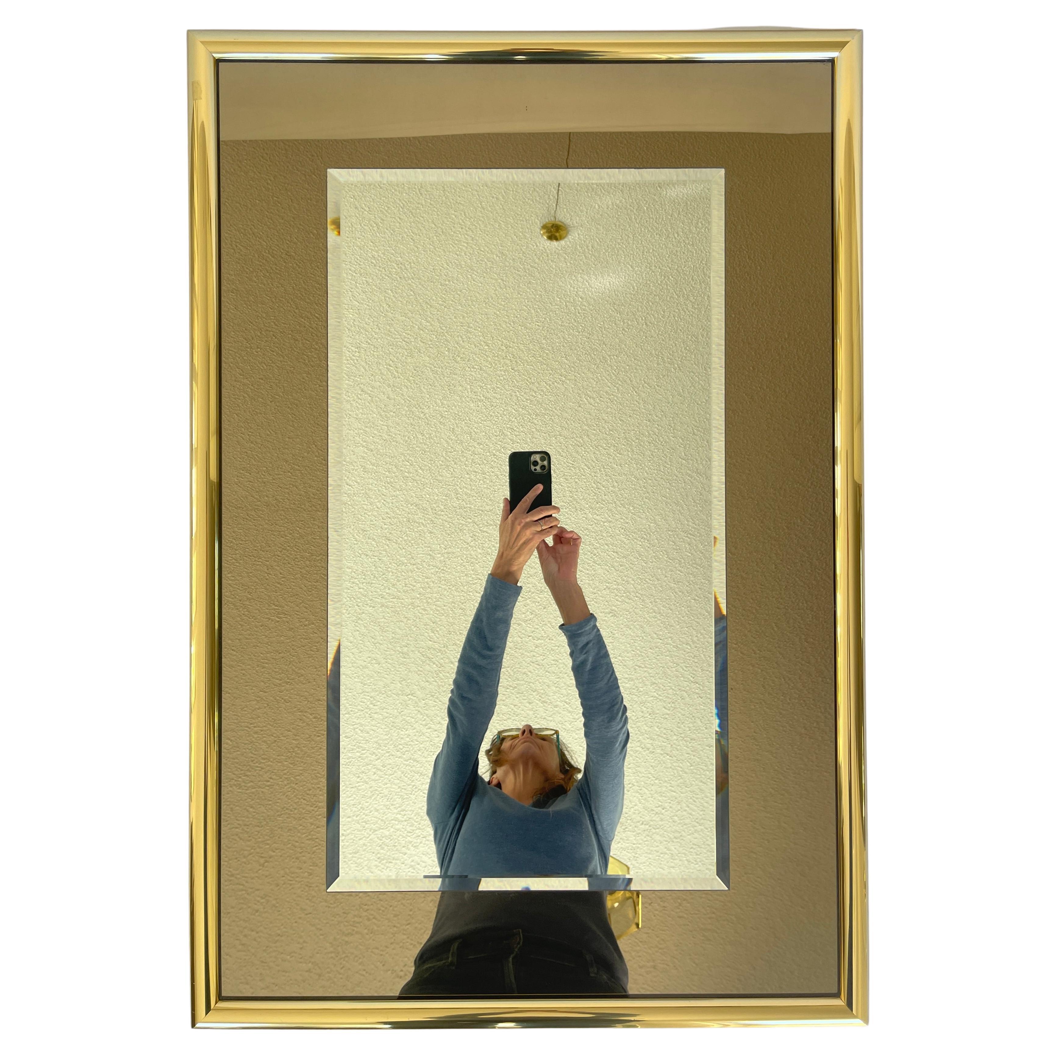 Darian Smoked Glass Mirror with Gold-Plated Brass Frame For Sale at ...