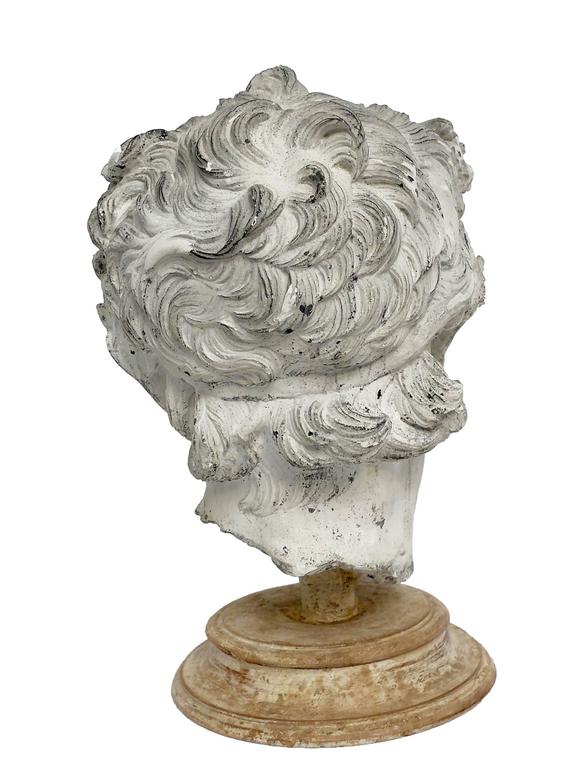 Academic Cast of Plaster Depicting the Furietti Centaur Head For Sale ...
