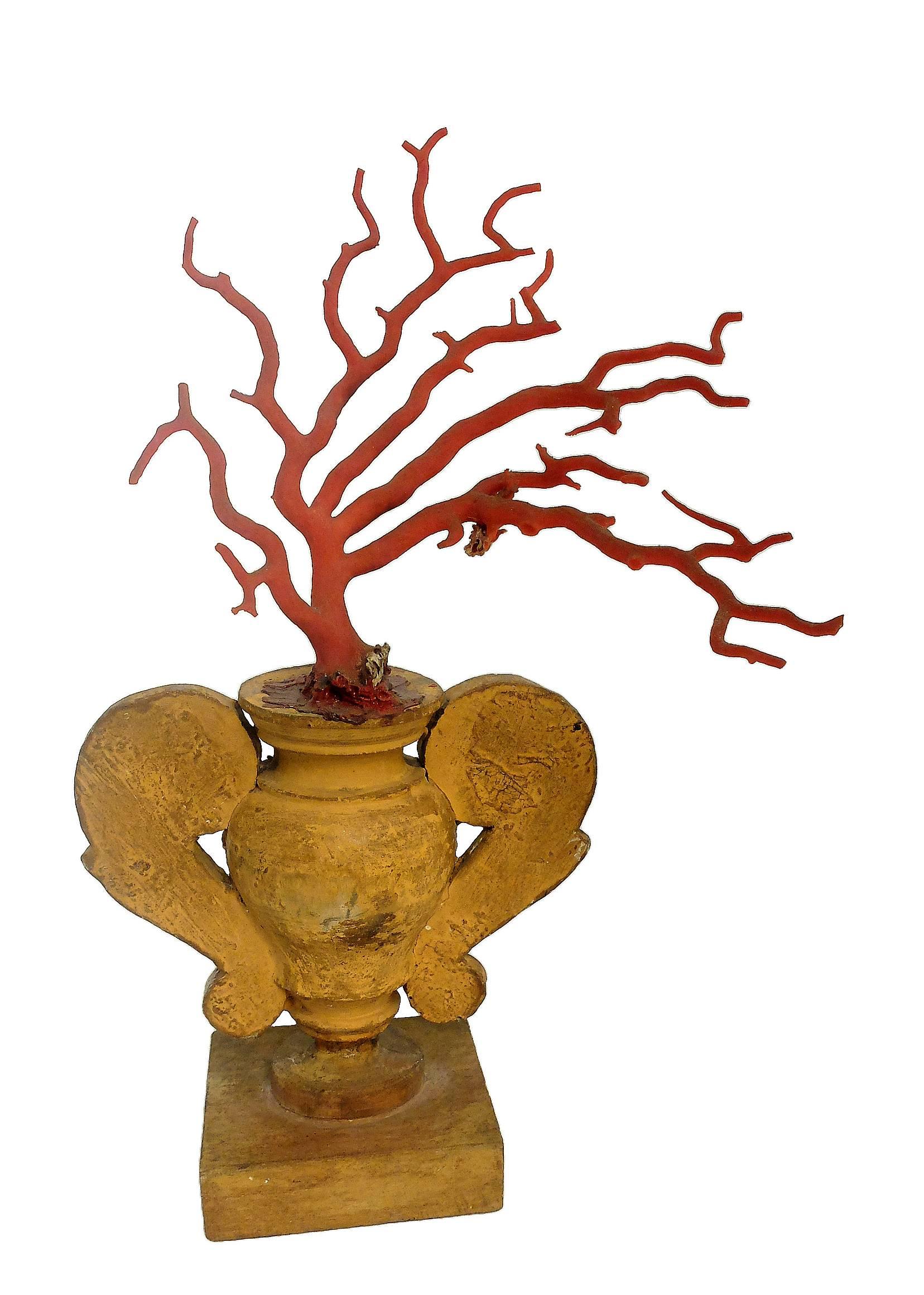 Wunderkammer Naturalia Specimen, a Branch of Italian Coral, circa 1850 ...