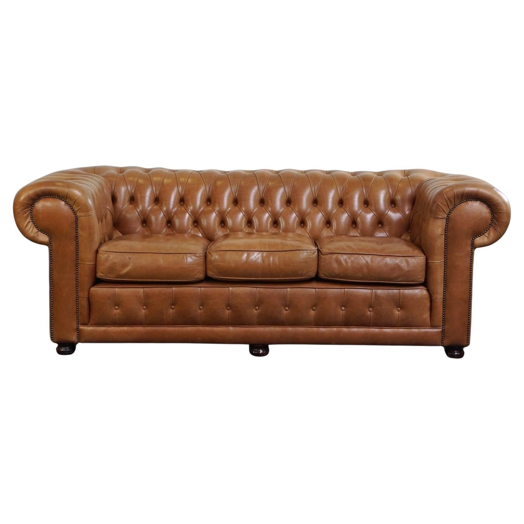 Light brown/cream-colored cowhide leather English 2.5-seater ...