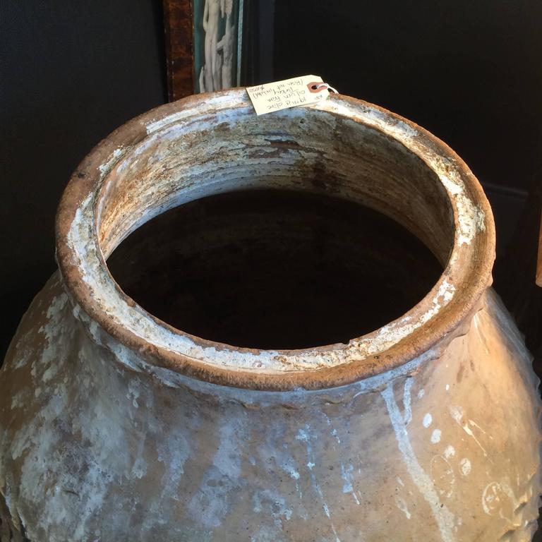 Beautiful Large 19th Century Turkish Olive Oil Vessel Urn at 1stDibs ...