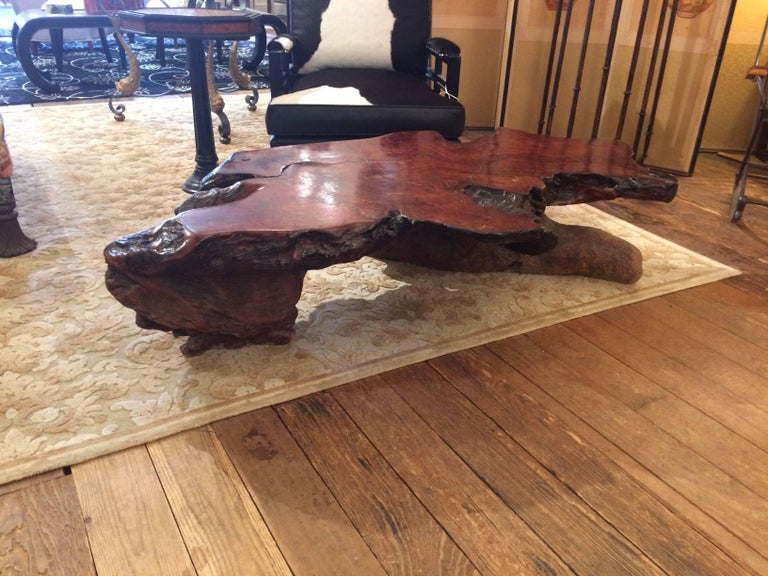 Very Dramatic Organic Nakashima Style Large Root Wood Coffee Table at ...