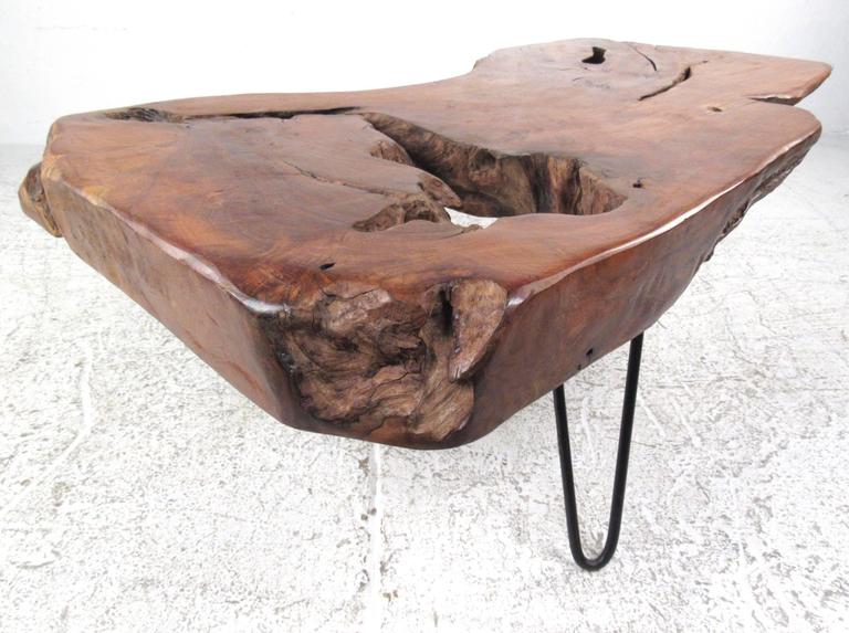 Rustic Modern Free Edge Tree Slab Coffee Table on Hairpin Legs at ...
