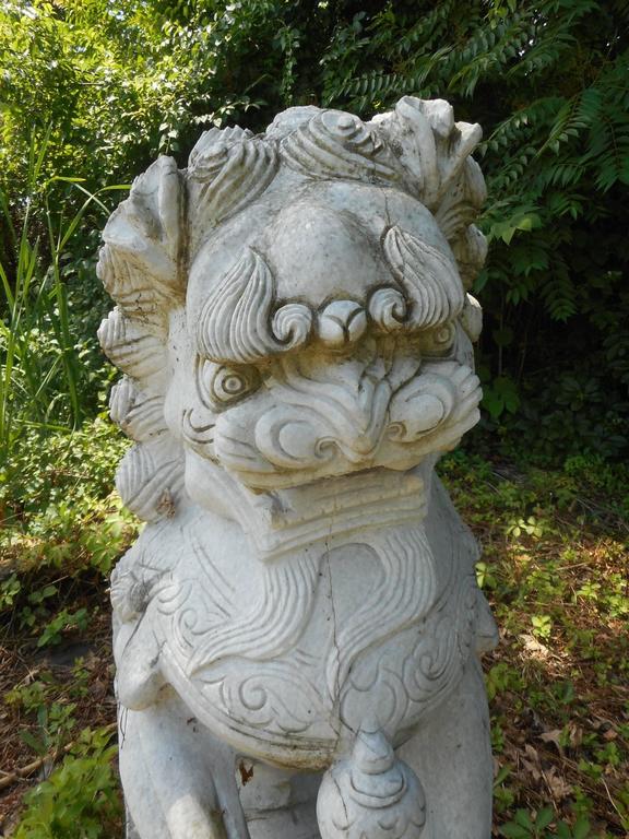 Impressive Pair of Marble Chinese Foo Dog Statues For Sale at 1stDibs