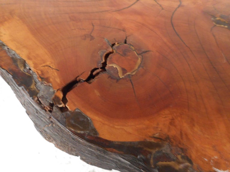 Mid-Century Modern Tree Slab End Table at 1stDibs
