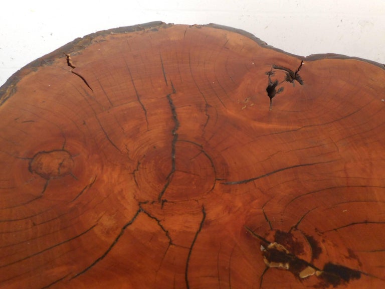 Mid-Century Modern Tree Slab End Table at 1stDibs