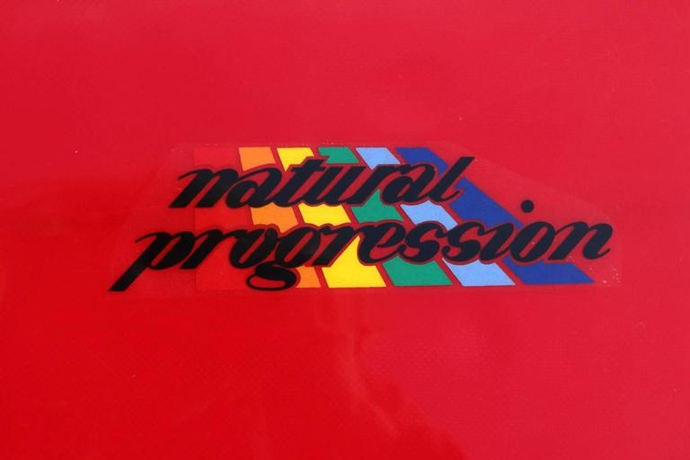 1975 Natural Progression Surfboard Santa Monica CA at 1stDibs