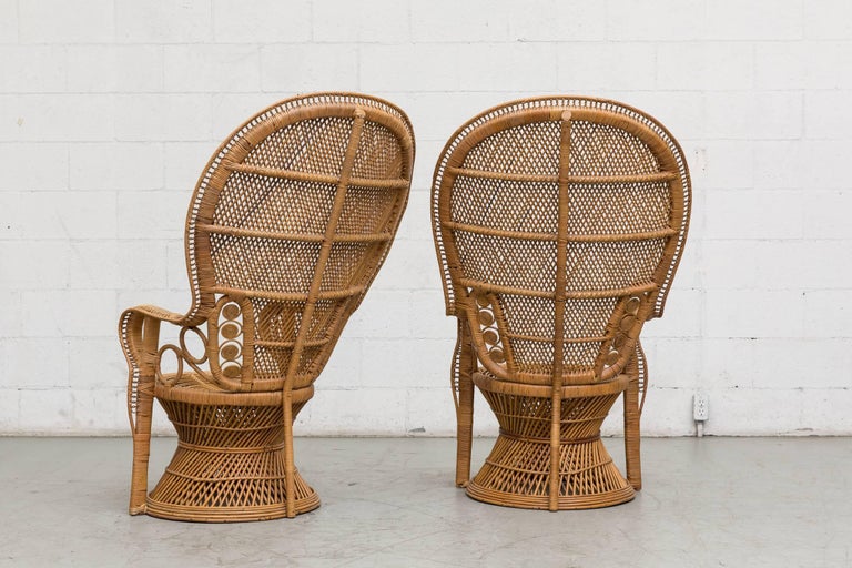 Midcentury Bamboo Peacock Chair at 1stDibs | peacock bamboo chair