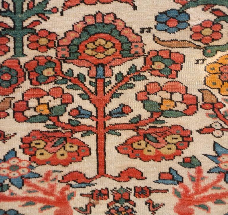 Rare 19th Century Sarouk Farahan Rug For Sale at 1stDibs