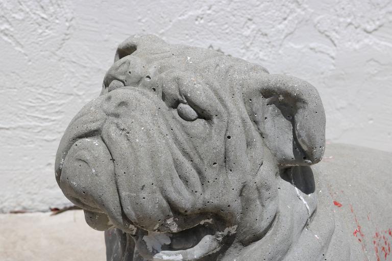 "Georgia Bulldog" Concrete Sculpture at 1stDibs | concrete georgia ...