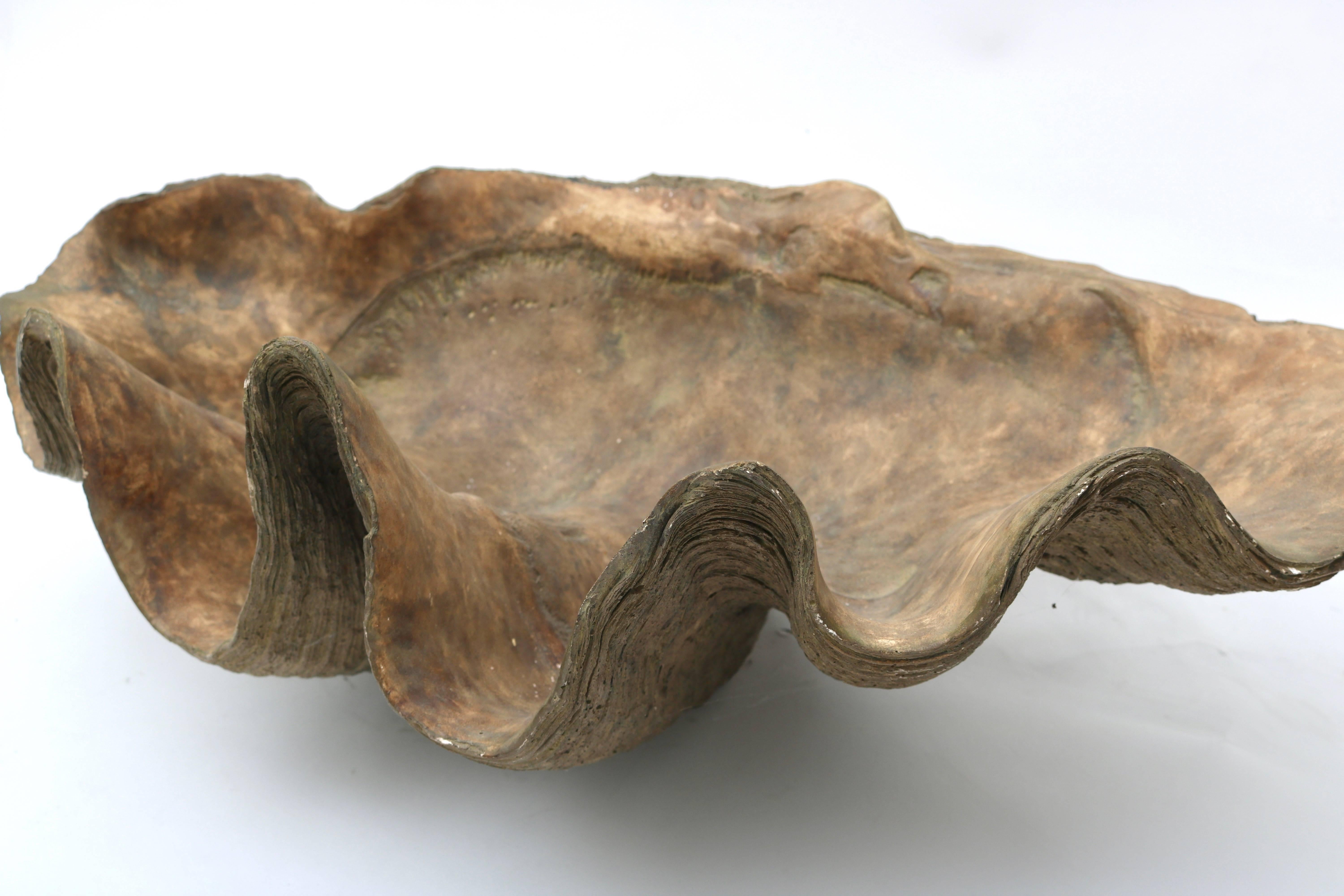 Cast Plaster Tridacna Gigas Clam Shell For Sale at 1stDibs | clam cast ...