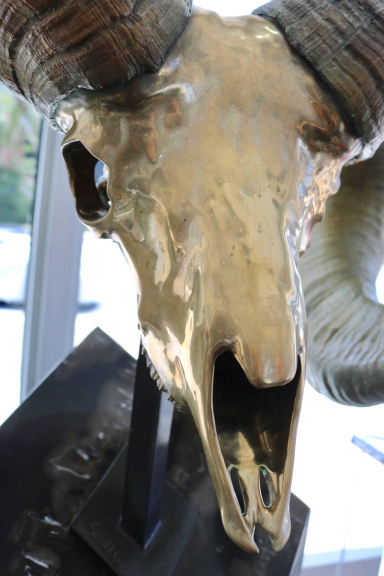 Bronze Sculpture of a Rams Head Skull For Sale at 1stDibs