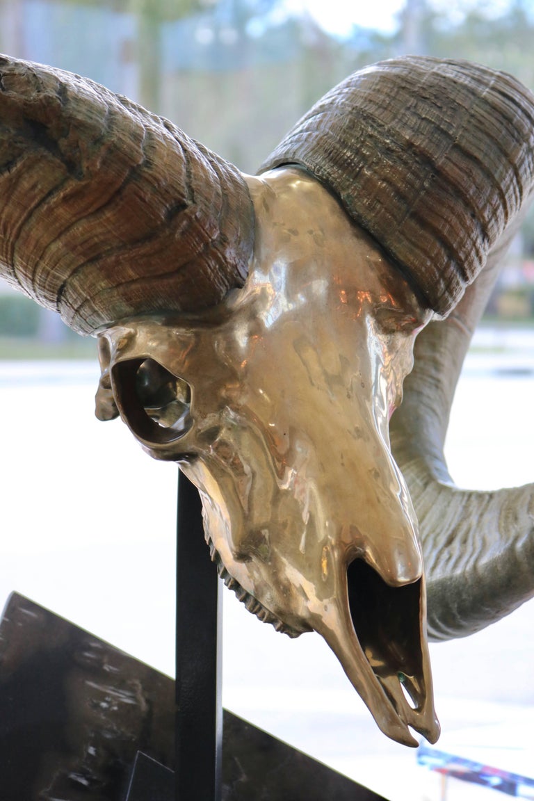 Bronze Sculpture of a Rams Head Skull For Sale at 1stDibs