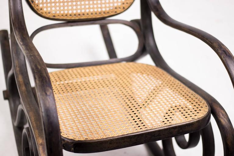 Bentwood Rocker Model #10 with Cane Seat and Back at 1stDibs | bentwood ...