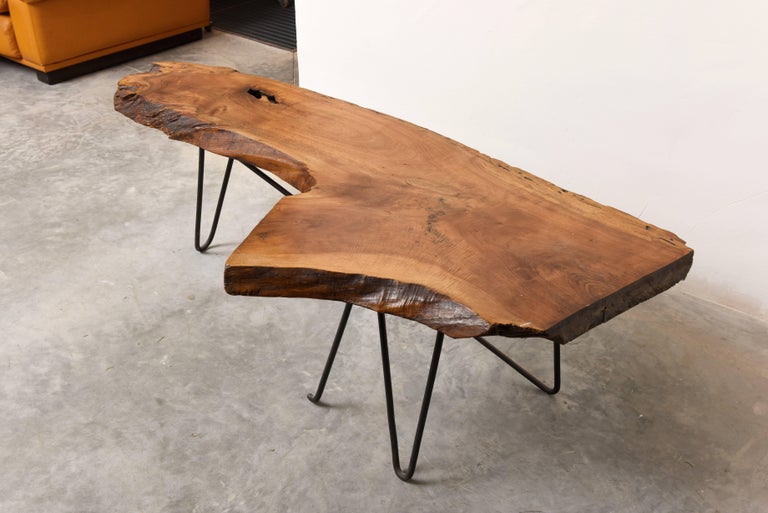 Large Organic Walnut Tree Trunk Coffee Table, 1960s in Style of George ...