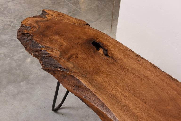 Large Organic Walnut Tree Trunk Coffee Table, 1960s in Style of George ...