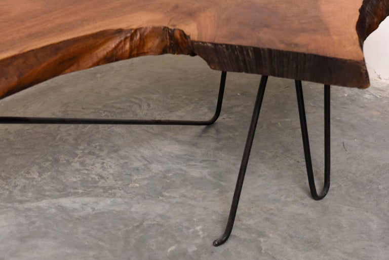 Large Organic Walnut Tree Trunk Coffee Table, 1960s in Style of George ...