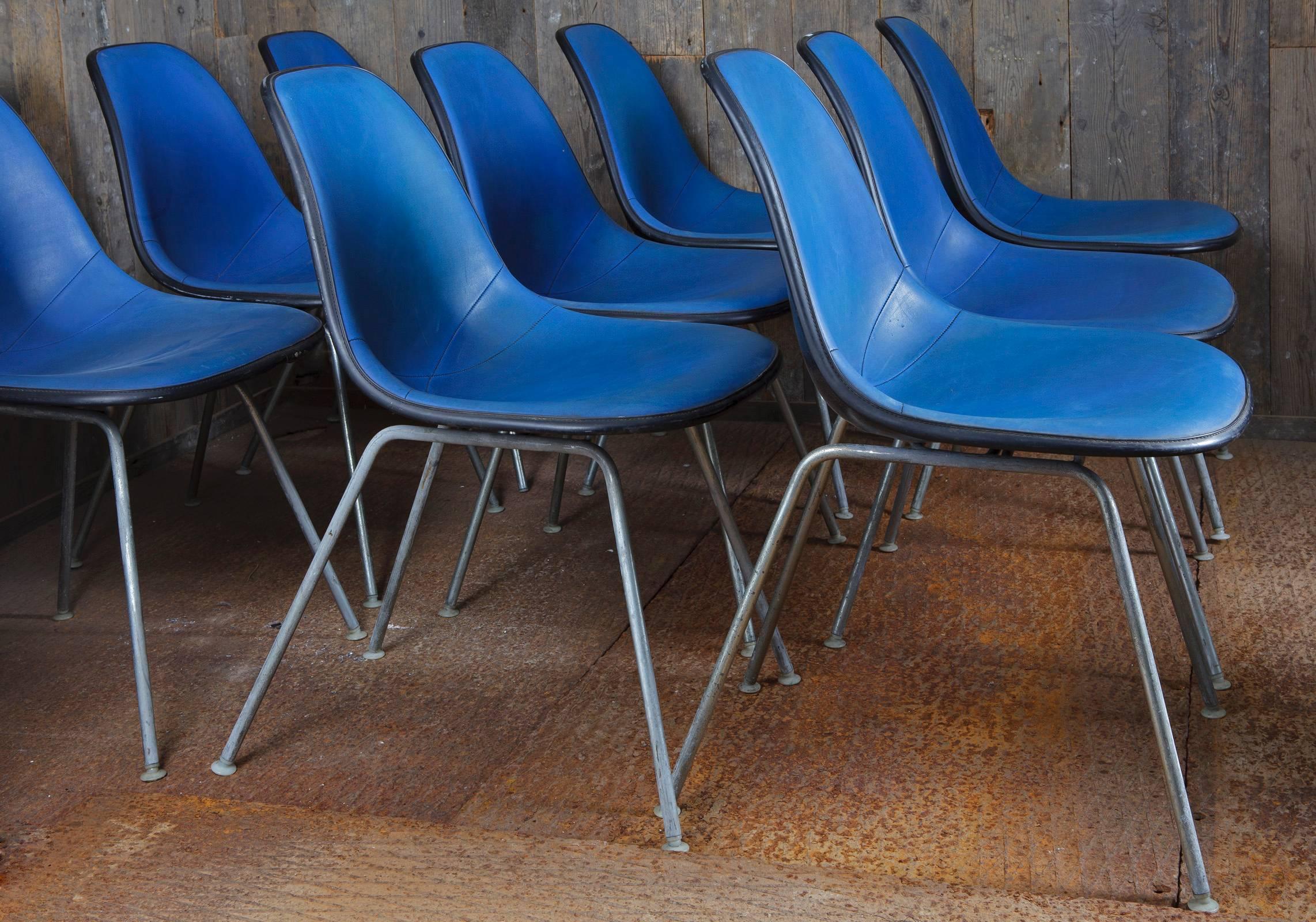 Ten Original Black and Cobalt Blue Eames Shell Chairs for Herman Miller ...