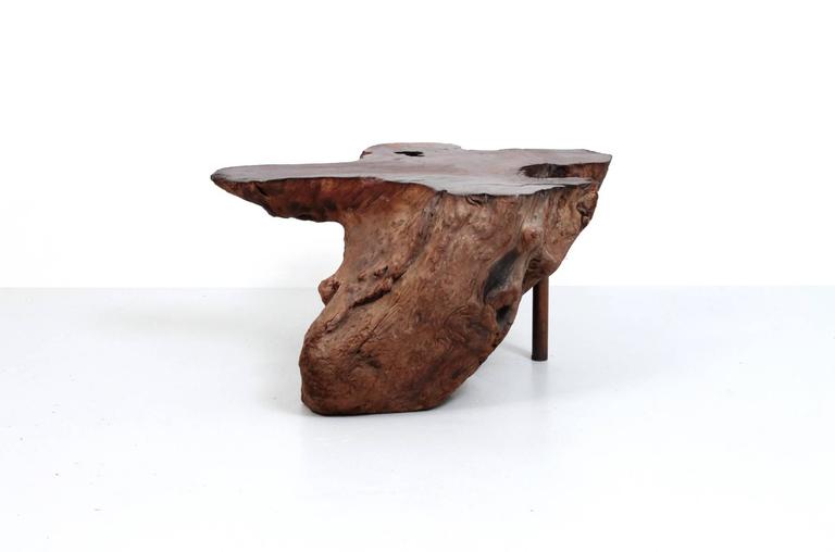 Burl Wood and Copper Stump Table at 1stDibs