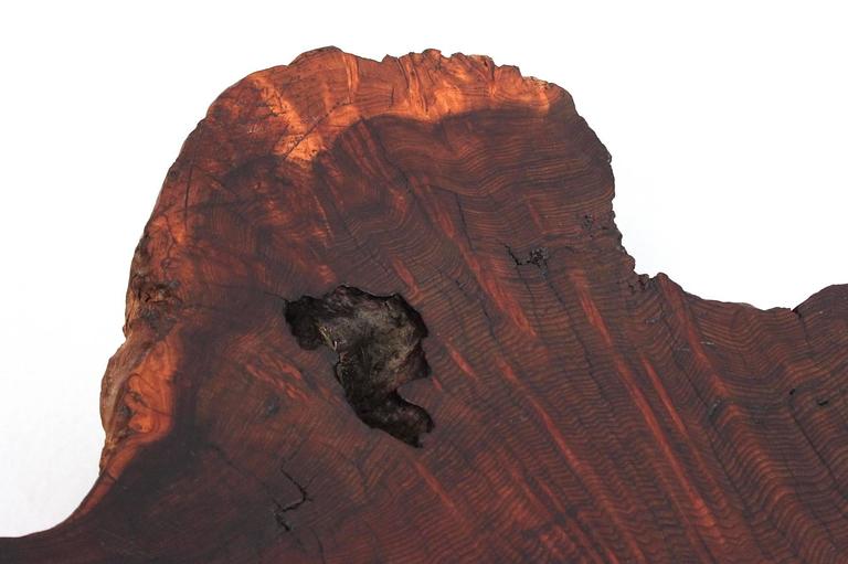 Burl Wood and Copper Stump Table at 1stDibs