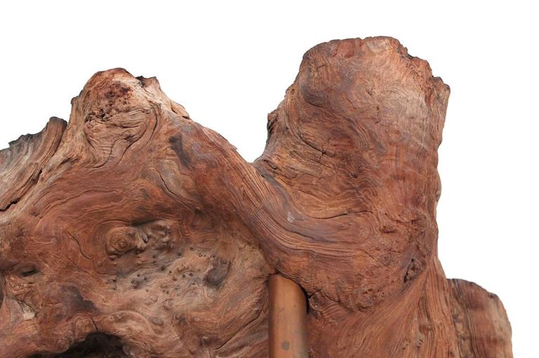 Burl Wood and Copper Stump Table at 1stDibs