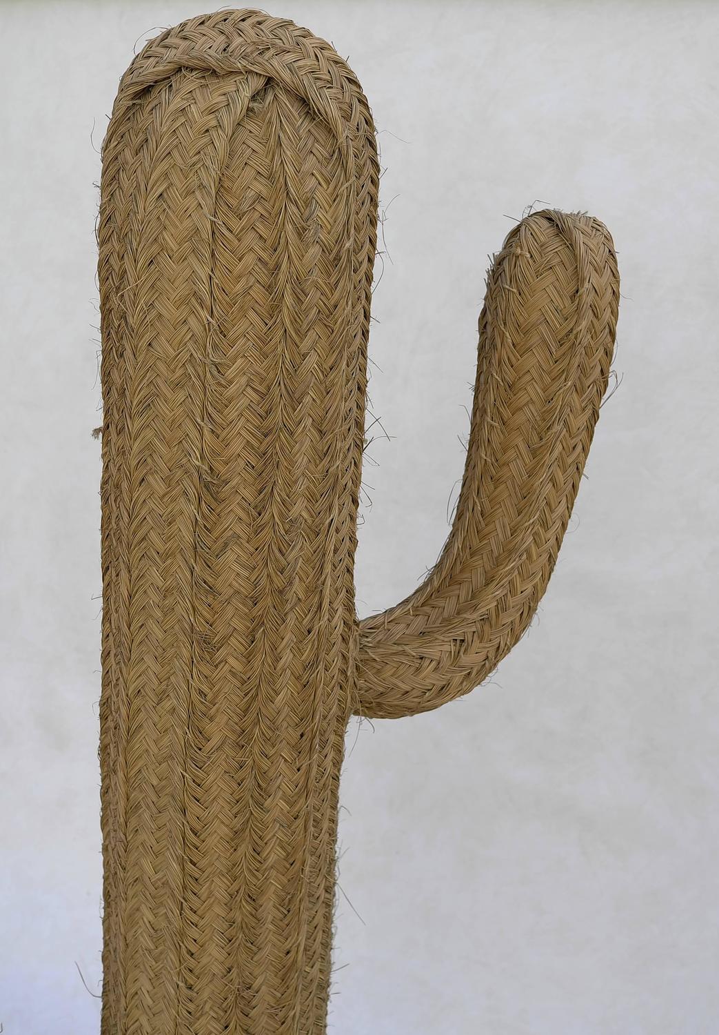 Large Decorative Cane Cactus, 1960s For Sale at 1stdibs