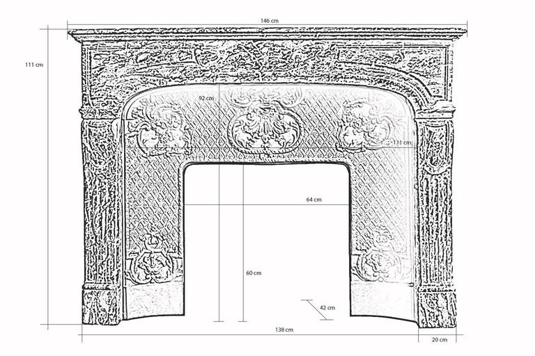 French Louis XIV Style Red Rance Marble Fireplace, 19th Century For ...