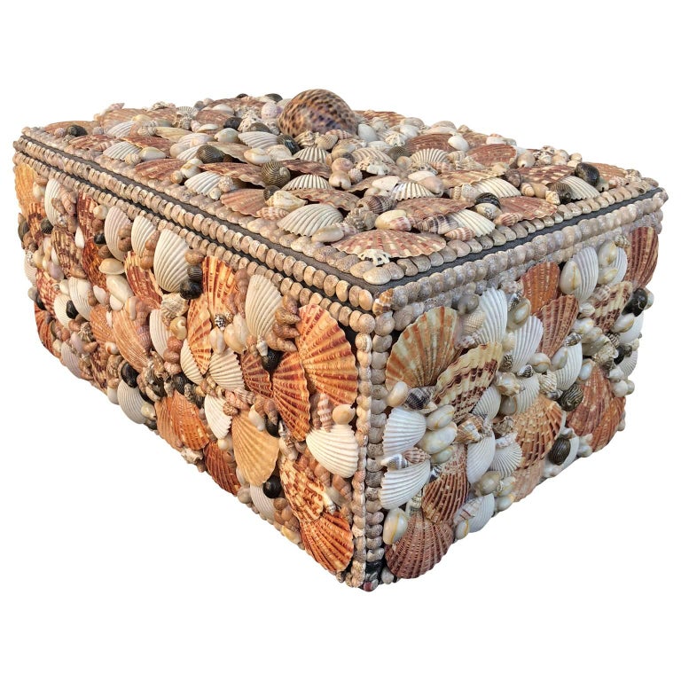 Vintage Jewelry Box Covered Pacific Seashell at 1stDibs