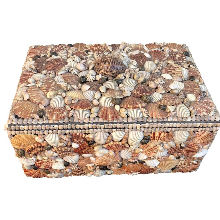 Vintage Jewelry Box Covered Pacific Seashell at 1stDibs