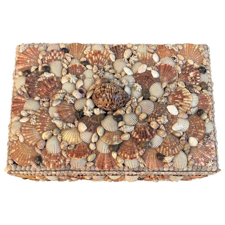 Vintage Jewelry Box Covered Pacific Seashell at 1stDibs