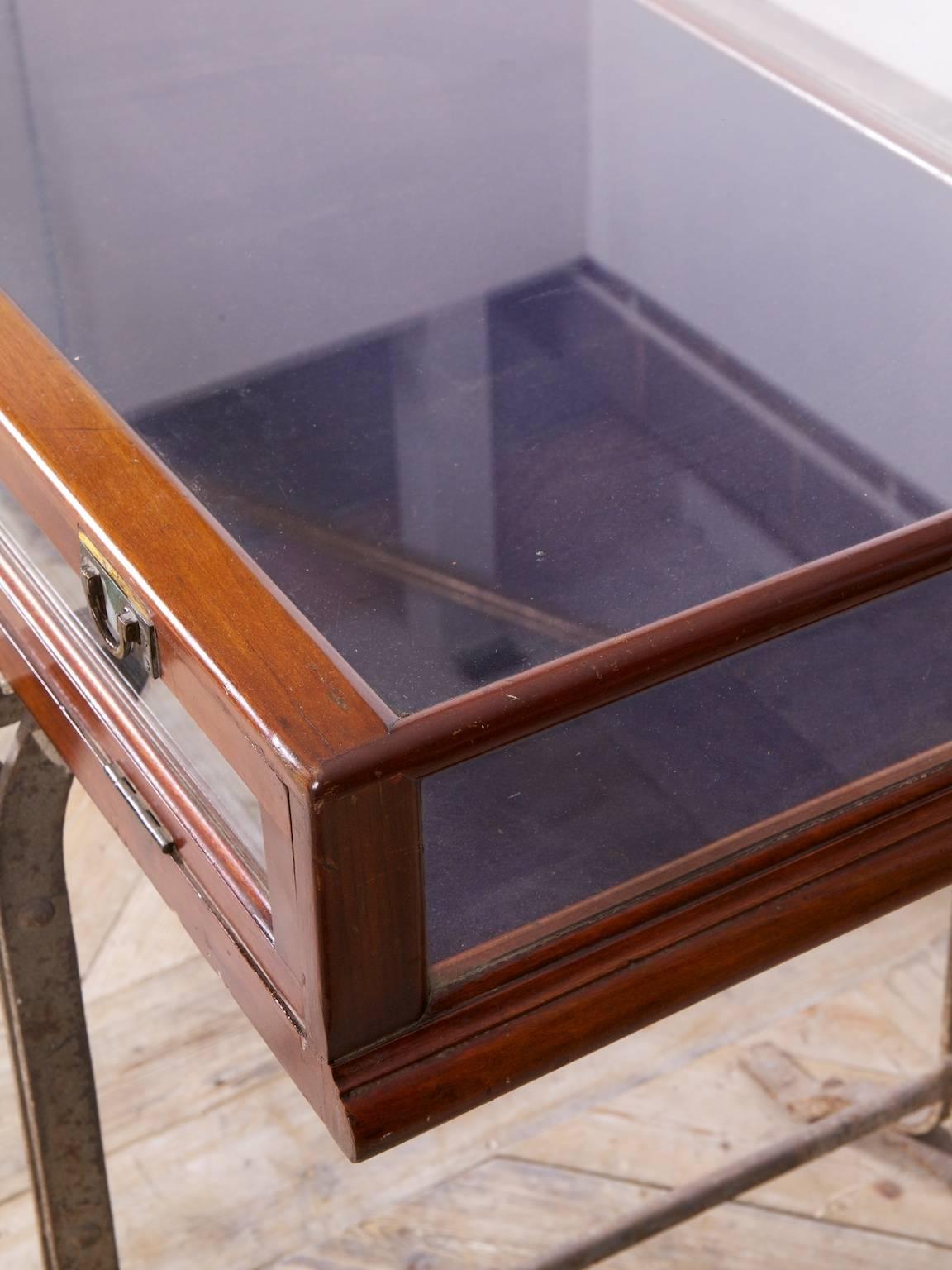 19th Century Counter Display Cases at 1stDibs