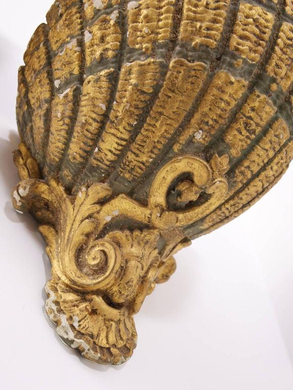 Scallop Shell Wall Lights at 1stDibs