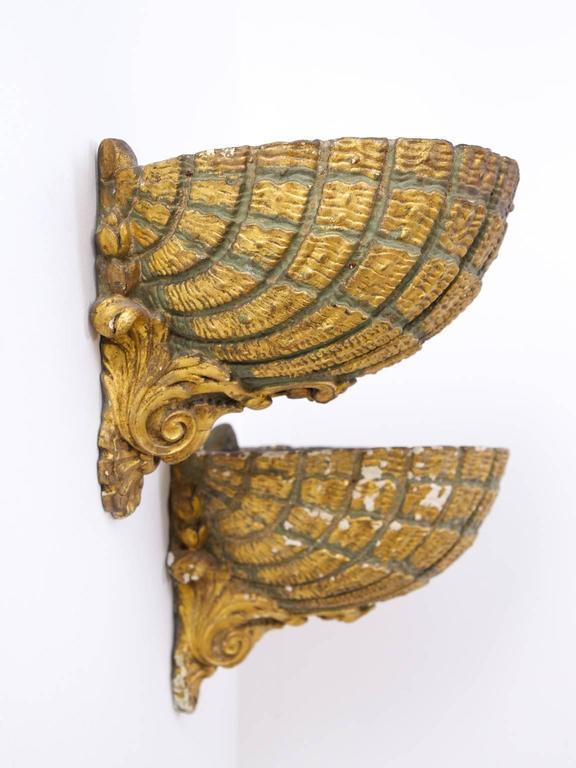 Scallop Shell Wall Lights at 1stDibs