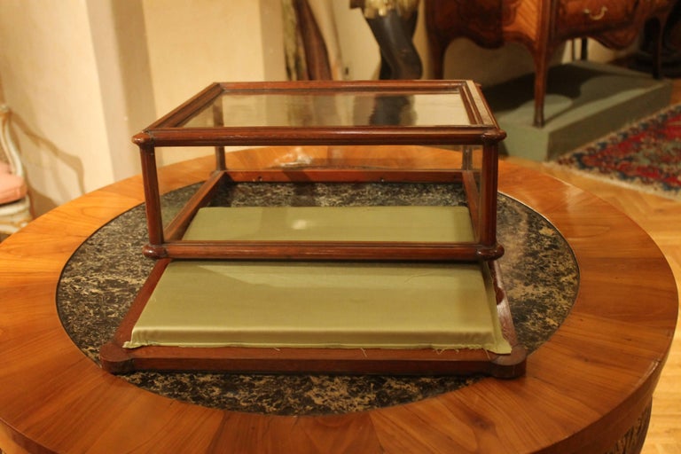 19th Century Rectangular English Mahogany Tabletop Display Case or ...