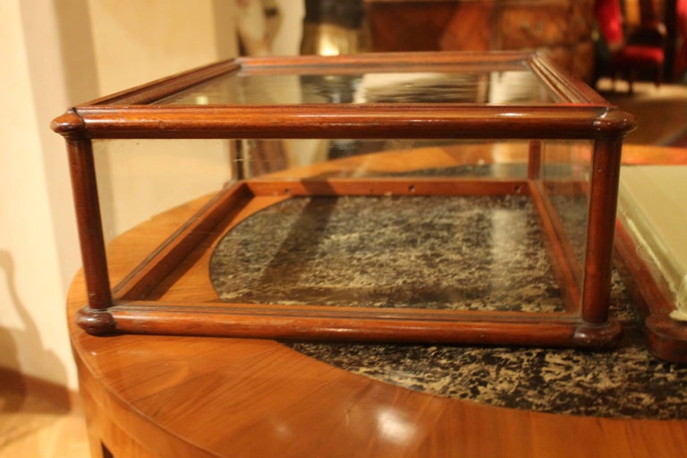 19th Century Rectangular English Mahogany Tabletop Display Case or ...