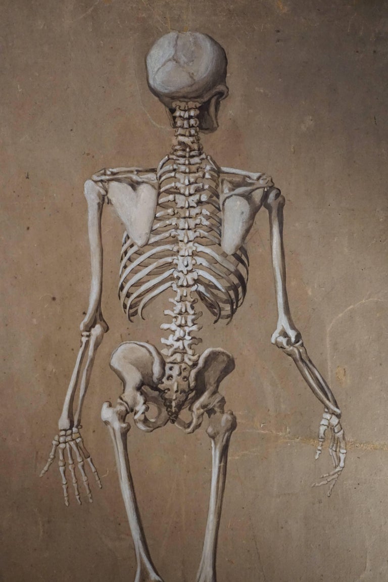 Spectacular and Rare Pair of Watercolor Paintings Representing a ...