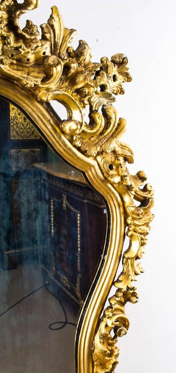 Antique French Giltwood Rococo Cartouche Shape Mirror, circa 1860 at ...