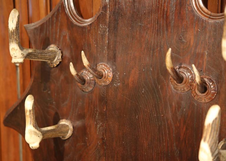 19th Century French Black Forest Carved Gun or Coat Rack with Antlers ...