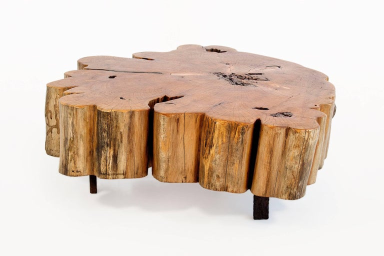 Cypress Tree-Trunk Coffee Table, circa 2000, France at 1stDibs