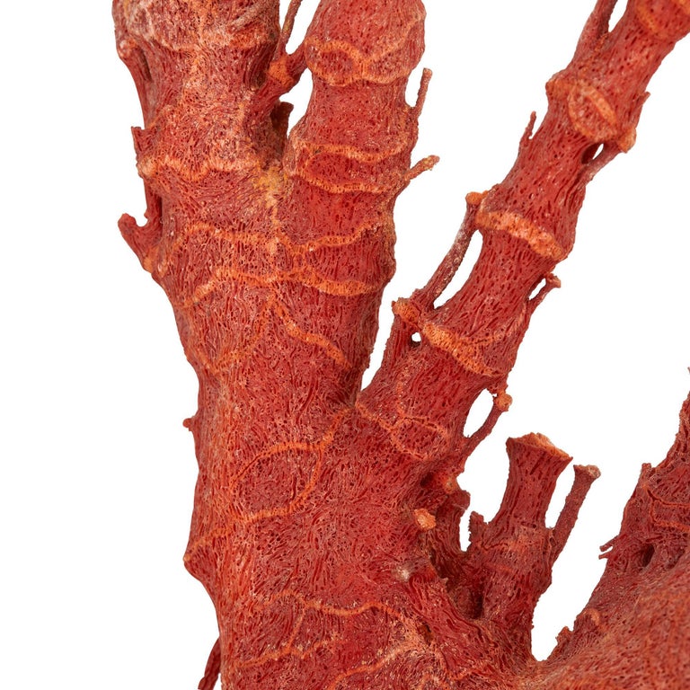 Qing Dynasty Antique Chinese Red Coral Specimen For Sale at 1stDibs ...