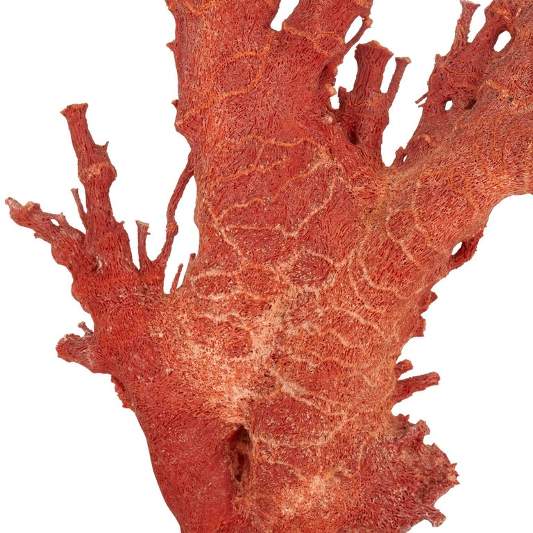 Qing Dynasty Antique Chinese Red Coral Specimen For Sale at 1stDibs ...