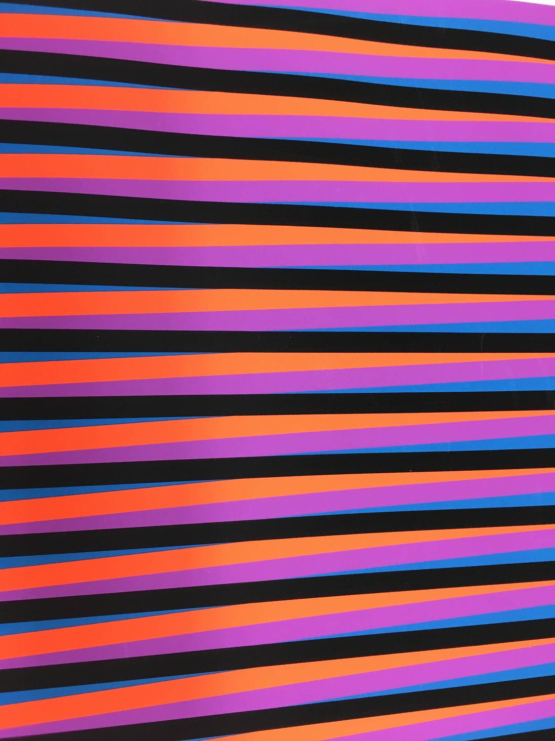 Carlos Cruz-Diez Kinetic Op Art Serigraph in Colors 1975 Signed For ...