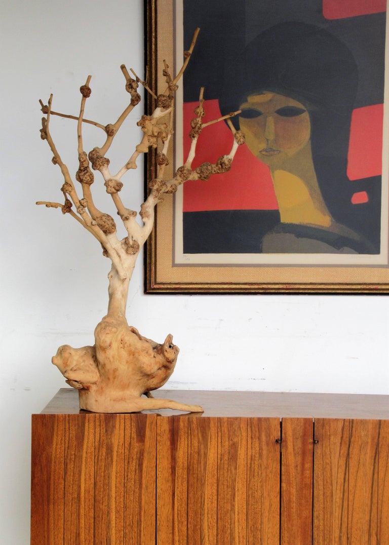 Old Natural Burl Root Tree Form Sculpture at 1stDibs