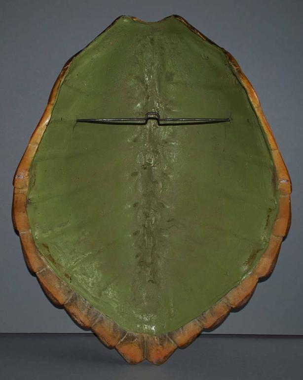 Extremely Large 20th Century Sea Turtle Shell Shield on Stand For Sale ...