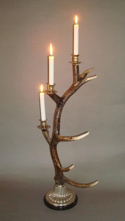 Unusual Large Pair of Antler and Silvered Metal Candlesticks at 1stDibs