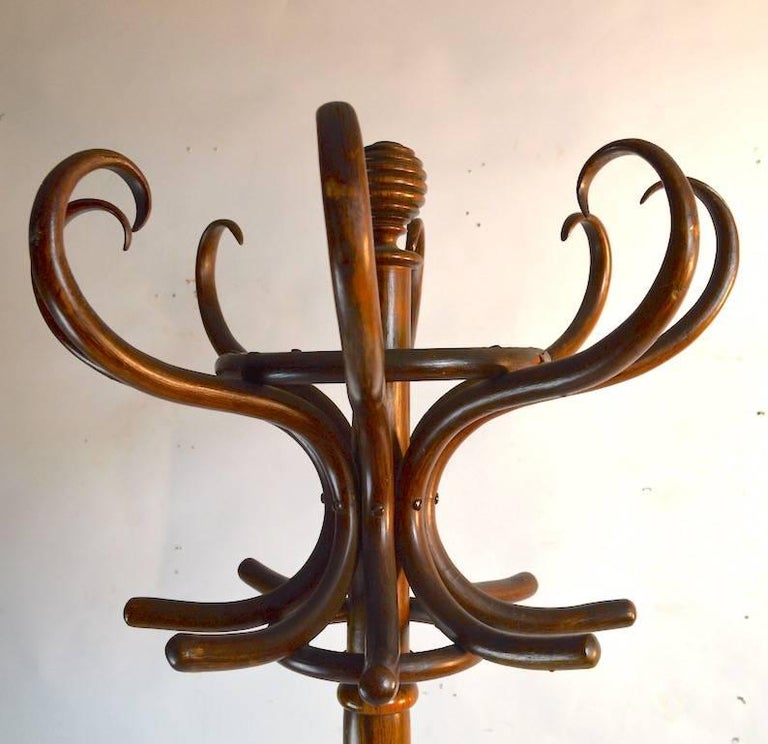 Bentwood Coat Stand Attributed to Thonet at 1stDibs