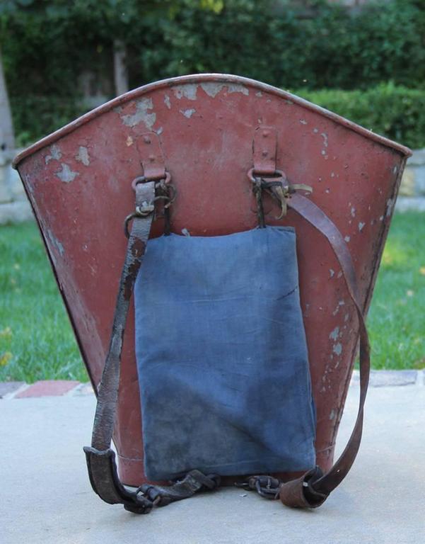 19th Century French Zinc Grape Hod at 1stdibs